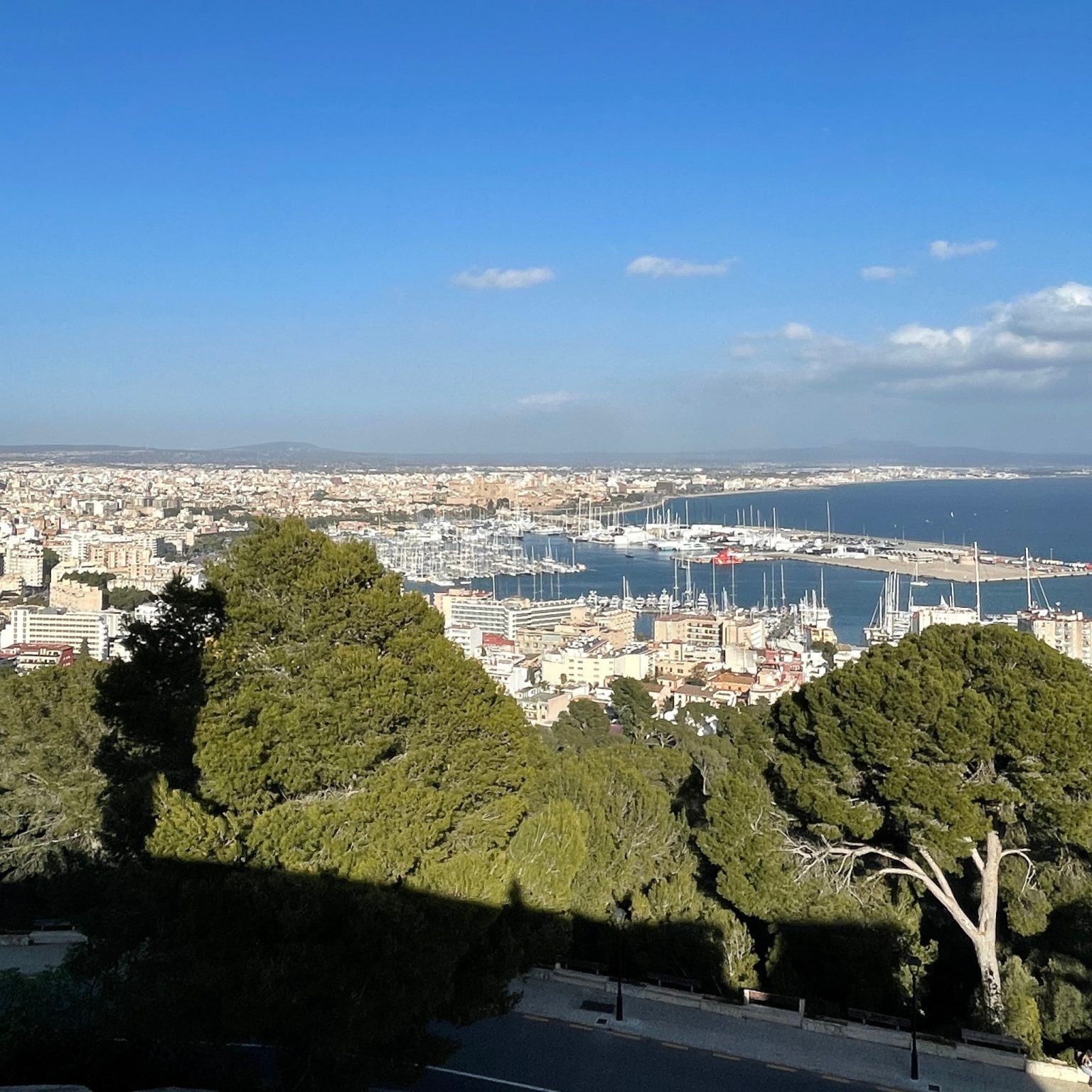 Castillo Bellver Palma de Mallorca - Entradas, Horarios, Info 2026 ...